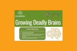 Growing Deadly Brains project - Thriving Queensland Kids Partnership